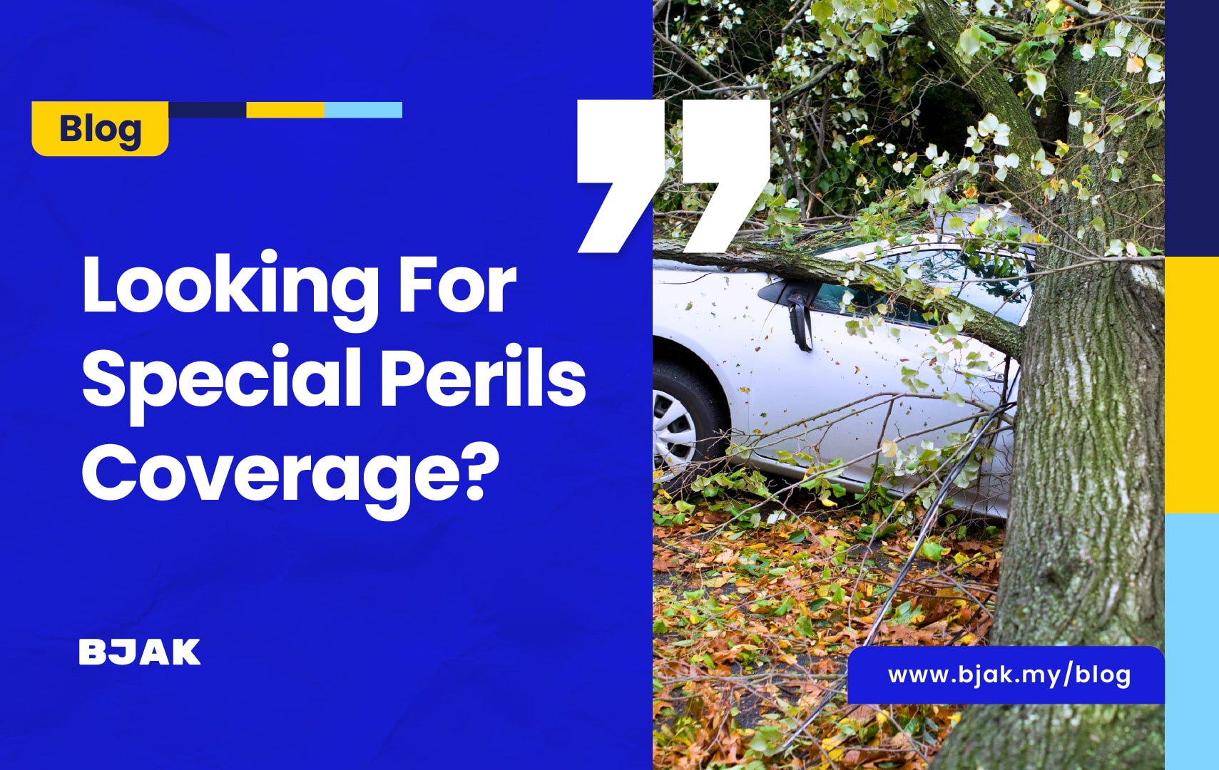 Special Form Coverage Perils at Sherlyn Weyer blog Special Form Coverage Perils at Sherlyn Weyer blog