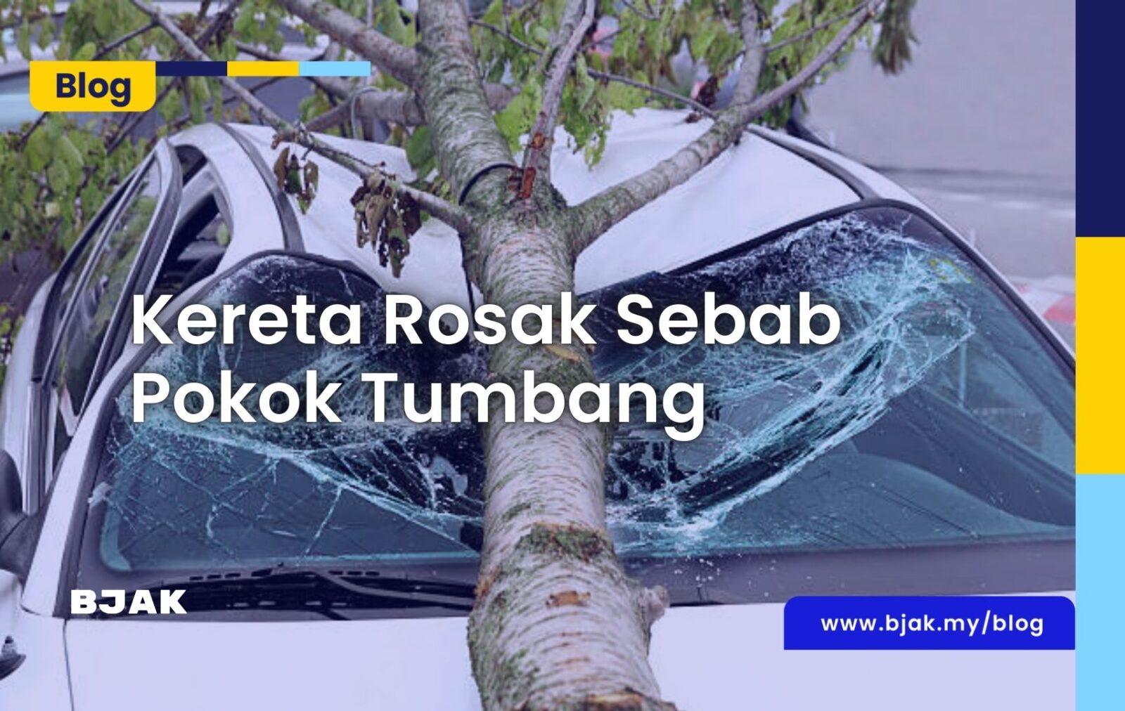 Kereta Rosak Sebab Pokok Tumbang | BJAK
