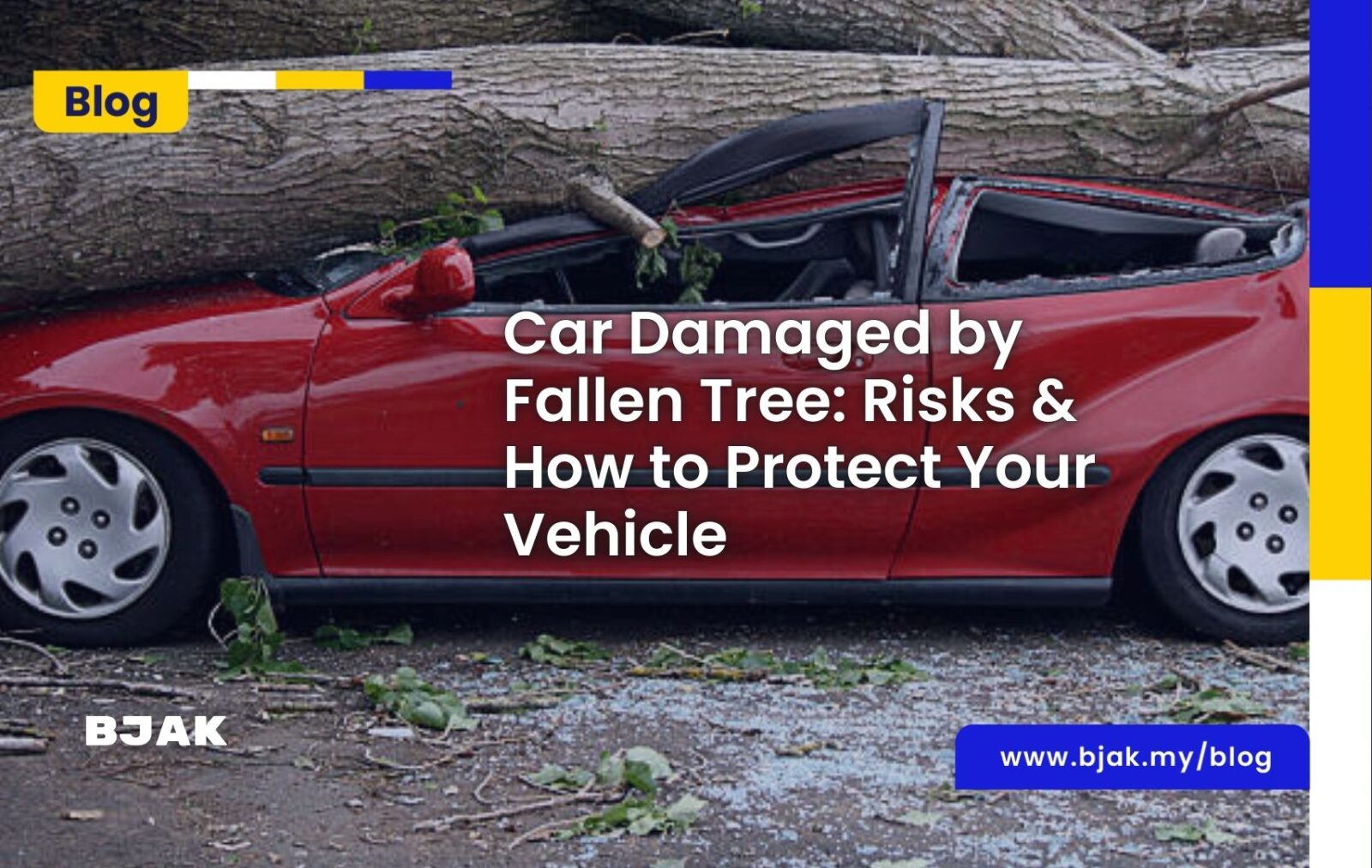 Car Damaged by Fallen Tree: Risks & How to Protect Your Vehicle | BJAK